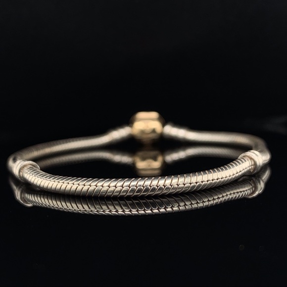 Pandora | Jewelry | Pandora Moments Snake Chain Bracelet | Poshmark